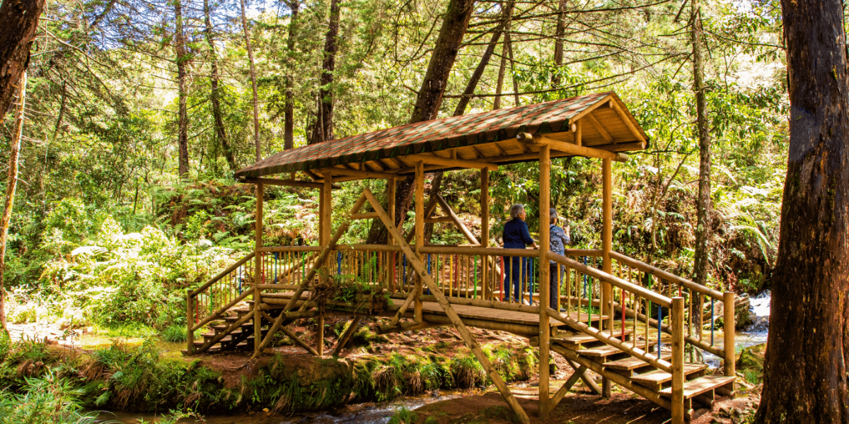 Experience the Best of Medellin: 10 Must-Visit Attractions You Cannot Miss!